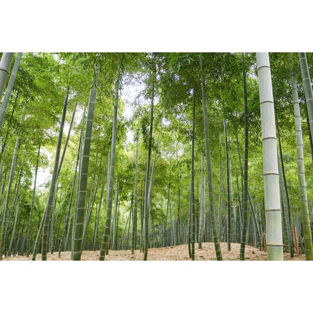 Duurzaam Bamboe Beddengoed | Boomba Bamboo Comfort - Boomba Bamboo